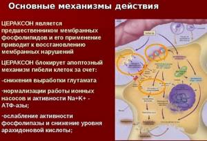 Цитиколин 1000 мг саше цена от 1642 руб, купить Цитиколин 1000 мг саше ...