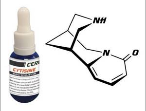 information about cytisine. treats nicotine addiction
